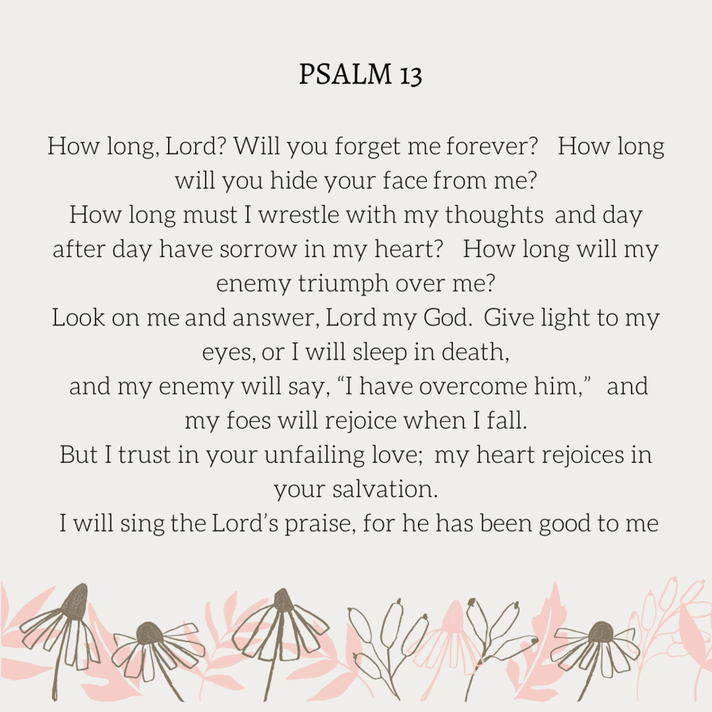 psalm13+-arielrainey – BIBLE – ADVENTURE