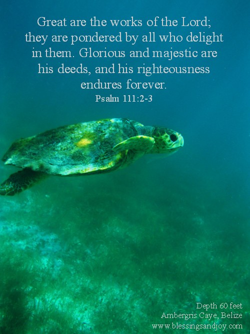 Psalm-111-2-3-March7-2015-NTW – BIBLE – ADVENTURE